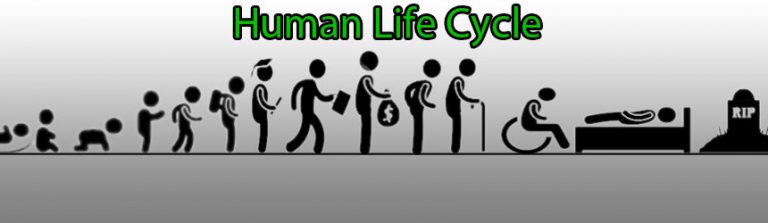 The Whole Life Plan - How to Have One - Men's Complete Life